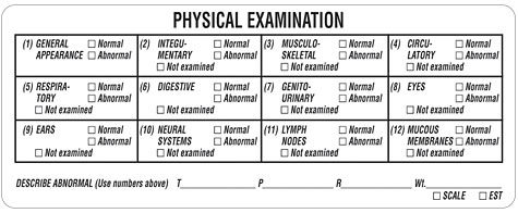Item# V-AN319 Physical Exam Label