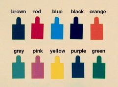 Item# 50-8340 Color Coding Tabs